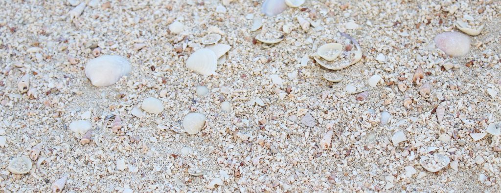 Jackson's Supplies - Shell grit for Chickens Jacksons Supplies ...