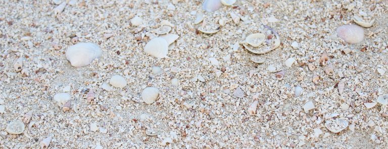 Jackson's Supplies - Shell grit for Chickens Jacksons Supplies ...