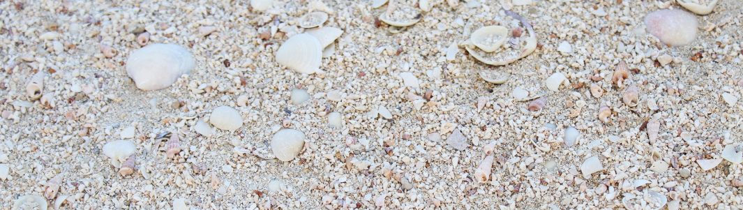 Jackson's Supplies - Shell grit for Chickens Jacksons Supplies ...