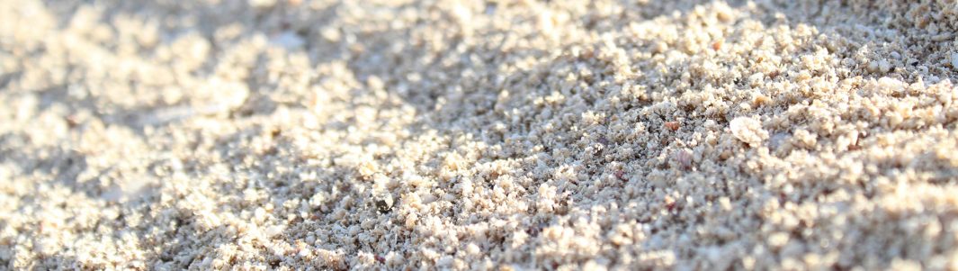 Jackson's Supplies - Shell grit for Chickens Jacksons Supplies ...