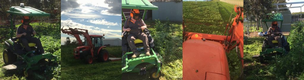 Grass, Weed & Paddock Slashing Gawler, Barossa, Adelaide Plains, Clare ...