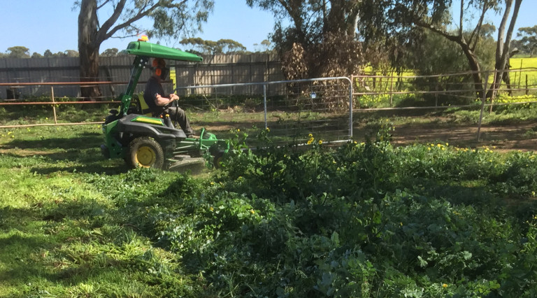 Grass, Weed & Paddock Slashing Gawler, Barossa, Adelaide Plains, Clare ...